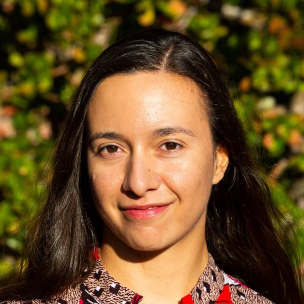 About - Skylark Wireless